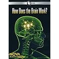 Amazon.com: Nova Science Now: How Does the Brain Work : ., n/a: Movies & TV