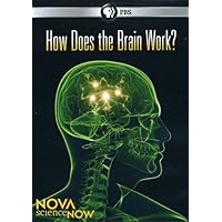Amazon.com: Nova Science Now: How Does the Brain Work : ., n/a: Movies & TV