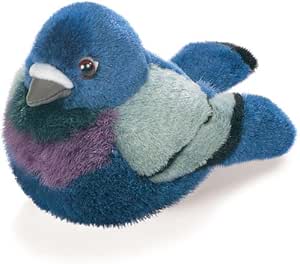 Amazon.com : Rock Dove - Audubon Plush Bird (Authentic Bird Sound ...