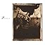 Pixies - Surfer Rosa - Amazon.com Music