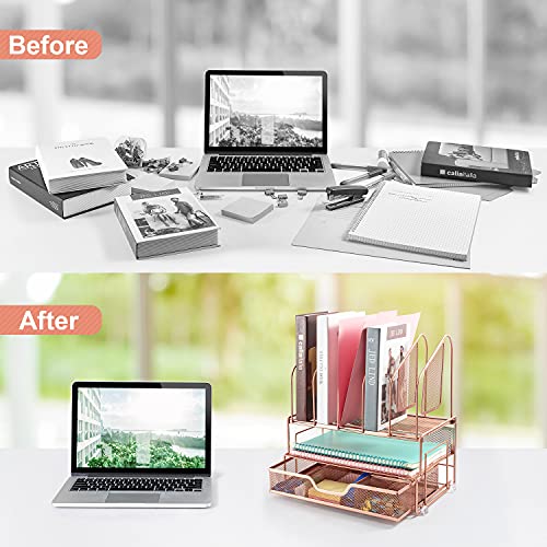 Beiz Rose Gold Desk Organizer with Storage Drawer, 2 Paper Tray & 5 ...