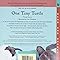 One Tiny Turtle: Read and Wonder: Davies, Nicola, Chapman, Jane ...