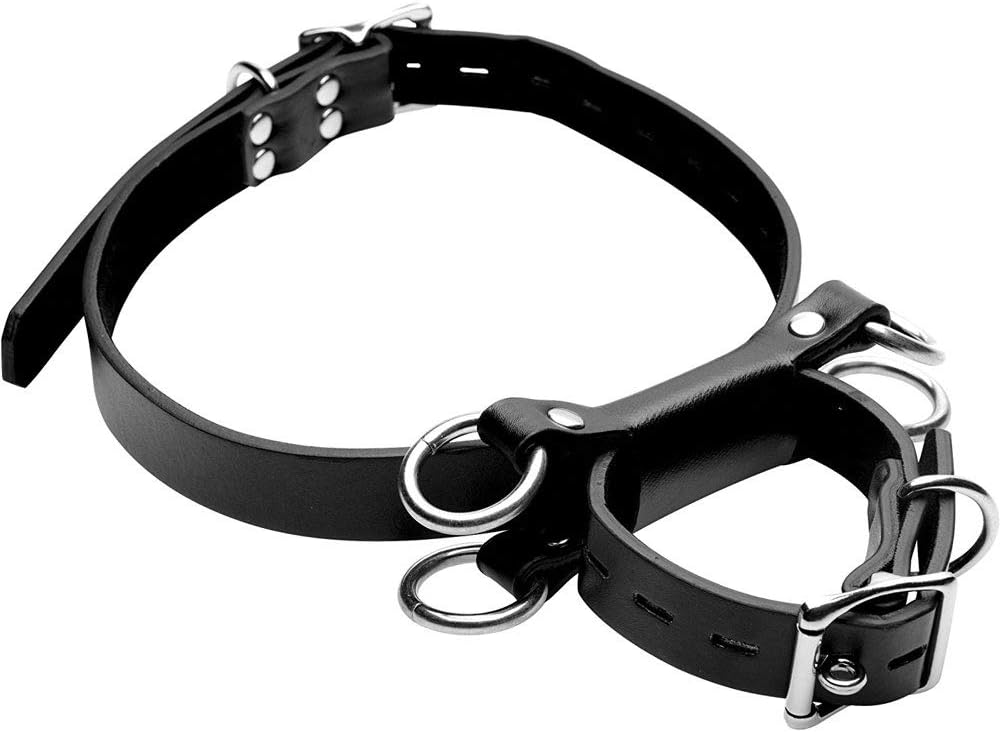 Master Series Bondage Restraint Frog Tie Kneeling Bondage System – BigaMart