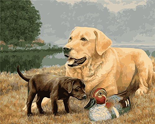 Paint by Number Kits of Dogs • Paint By Number For Adults