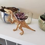 Amazon.com: BOLEY Monster (15-Pack) Large 7" Toy Dinosaurs Set ...