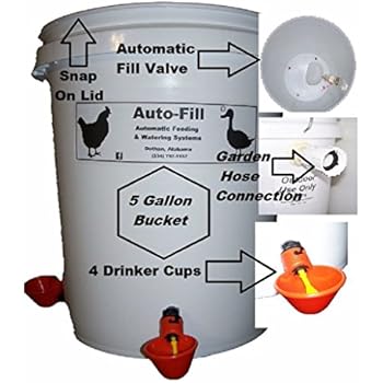 Amazon.com : Auto-Fill Automatic Chicken Waterer 5 Gal Bucket with 4 ...