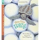 One Tiny Turtle: Read and Wonder: Nicola Davies, Jane Chapman ...