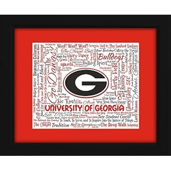 Amazon.com: UGA Georgia Bulldogs: Sanford Stadium Redout Photo Art ...
