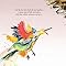 The Go-Away Bird: Amazon.de: Julia Donaldson, Catherine Rayner ...
