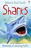 Sharks (Usborne Fact Cards): Phil Clarke, Kirsteen Rogers, John Francis ...