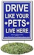 Amazon.com: Drive Like Your Kids Live Here Yard Sign, Slow Down Sign ...