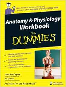 Anatomy and Physiology Workbook For Dummies: 9780470169322: Medicine ...