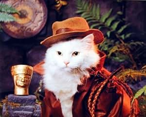 Amazon.com: Indiana Jones Cat Funny Animal Nature Kids Room Wall Decor ...
