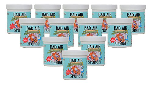 Buy The Original Bad Air Sponge with Activated Charcoal- All Purpose ...