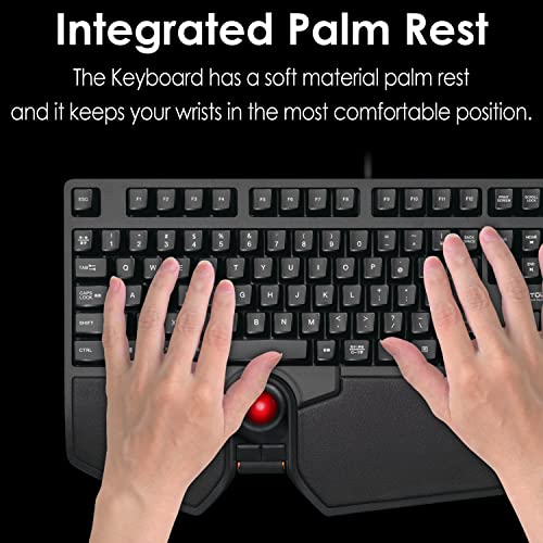ELECOM Japanese Layout Wired Keyboard with Built-in Trackball & Scroll ...