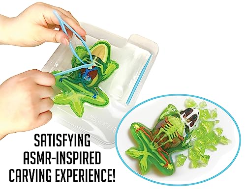 Dissect-It Plus Upgraded Frog Dissection Toy Kit, Realistic Lab ...