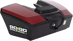 Amazon.com: Pride Mobility Go-Go Endurance 8-AH Lithium-ion Battery ...