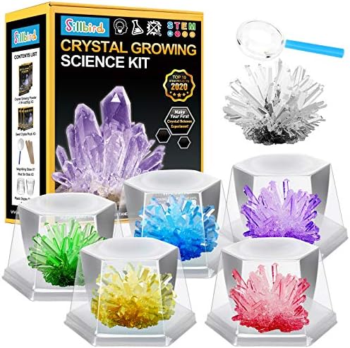 Sillbird Crystal Growing Kit Lab for Kids, 6 Colored Crystal Science ...