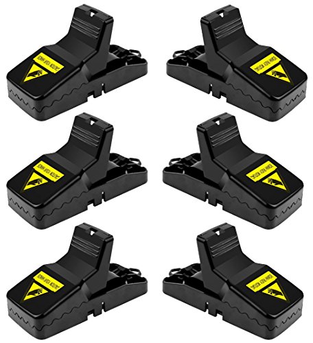 Buy Acerich Mouse/Rats Trap, Rats/Mice Trap That Work Humane Power ...