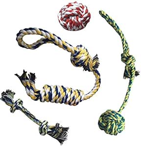 Amazon.com: Dog Chew Rope Toys Set of 4 - Puppy Chewing Ropes for Small ...