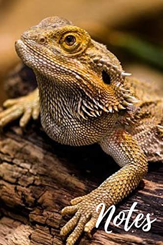 Bearded Dragon Notebook: unique bearded dragons gift for animal and ...