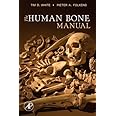 The Human Bone Manual: 8601404458439: Medicine & Health Science Books ...