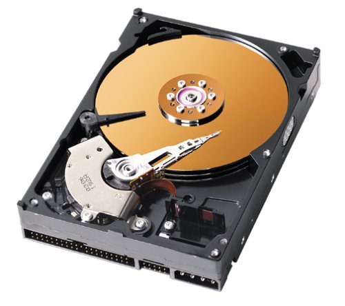 Western Digital WD800B002RNN External FireWire 7200 RPM 80 GB Hard ...