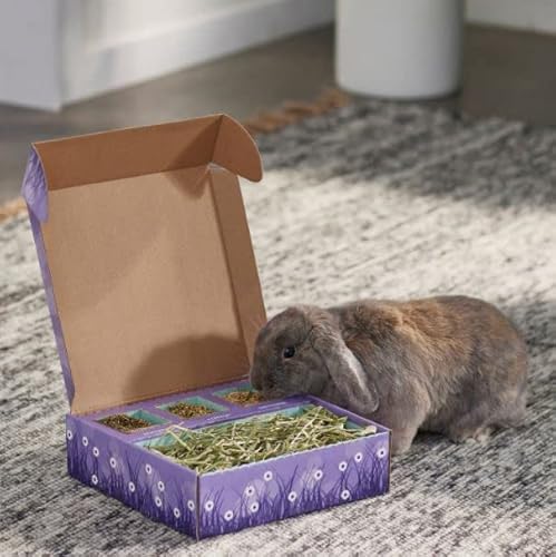 Sweet Meadow Farm Bunny Bento Box - Dandelion& Oats price in Saudi ...