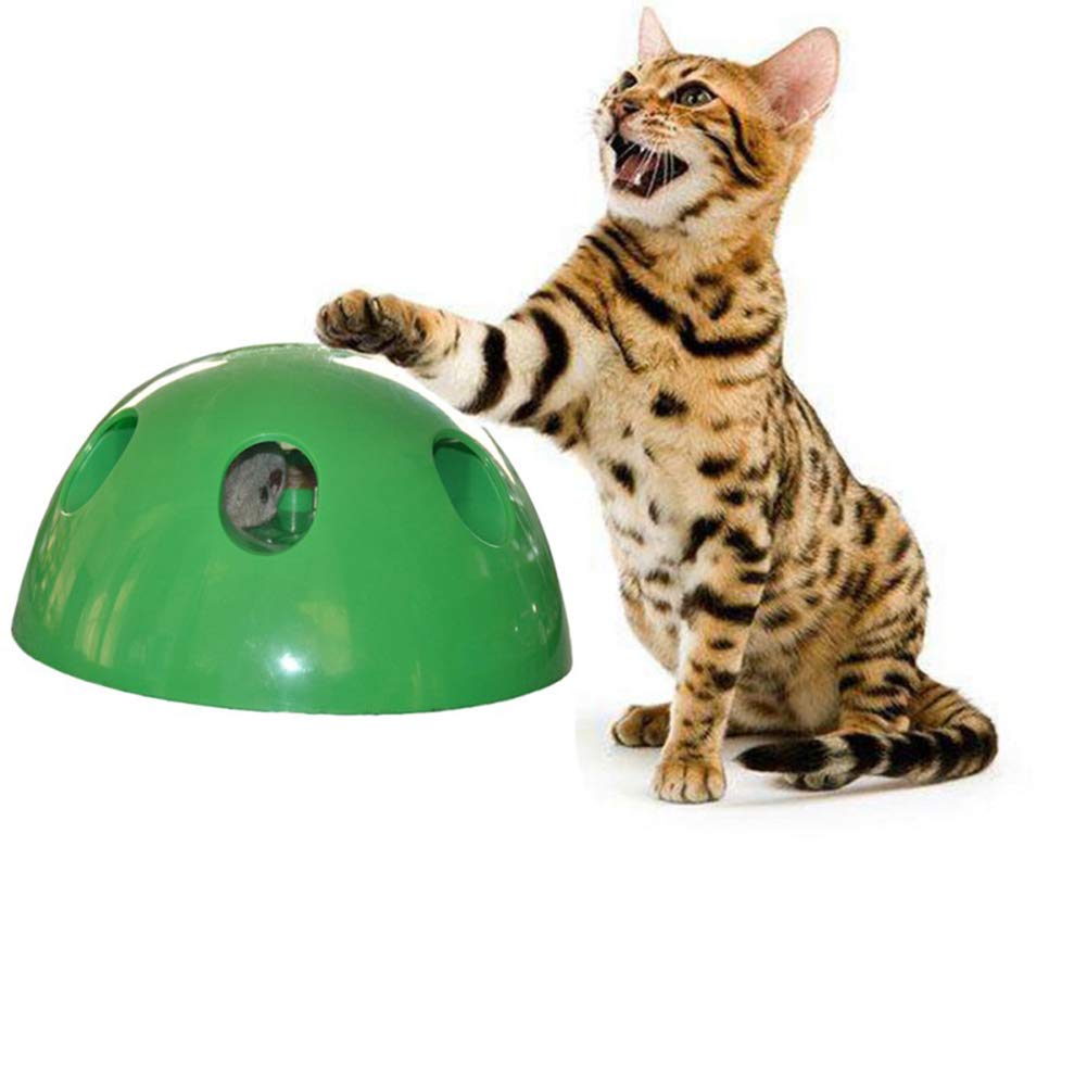 Cat Toy–Battery Powered-Automatic Cat Exercise Teaser Toy-Randomly ...
