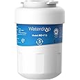 Amazon.com: Waterdrop WD-F13 Water Filter, Replacement for GE ...