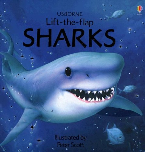 Sharks (Usborne Lift-the-Flap Learners): Clarke, Phil: 9780794511098 ...