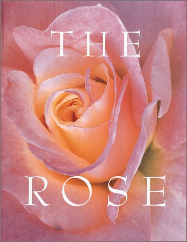 The Rose: Halpin, Ann: 9781586635497: Amazon.com: Books