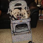 Amazon.com : Pink Leopard 4 Wheels Pet Dog Cat Stroller w/RainCover ...