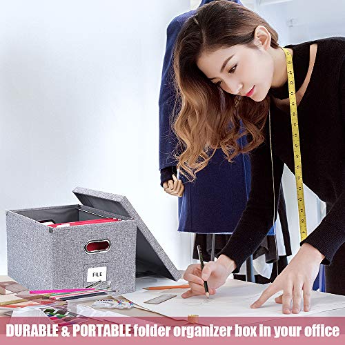 Upgraded Collapsible Hanging File Storage Boxes with Smooth Sliding ...
