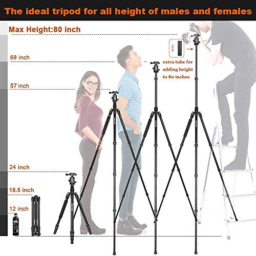 Camera Tripod, 80/84 inches Heavy Duty Tripod for Camera and Phone, 82 ...