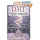 Amazon.com: DMT: The Spirit Molecule: A Doctor's Revolutionary Research ...