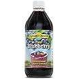 Amazon.com : Dynamic Health 473ml 100 Percent Pure Blueberry Juice ...