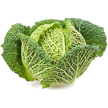 Amazon.com : Seeds Savoy Cabbage Vertus Beautiful Vegetable Organic ...