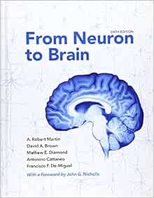 From Neuron to Brain: 9781605354392: Medicine & Health Science Books ...