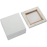 Amazon.com: SL crafts Mini Stretched Canvas 4x4 Inch Small Blank Canvas ...