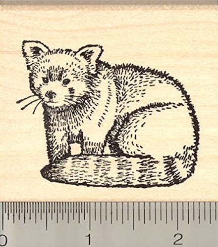 Red Panda Rubber Stamps - Kritters in the Mailbox Animal Items