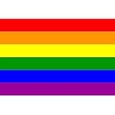 Amazon.com - Rogue River Tactical 4 Pack Rainbow Flag Car Decal Bumper ...