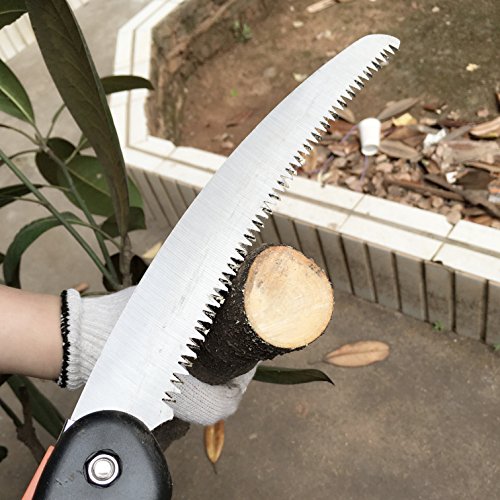 Best Folding Hand Saw For Cutting Trees at Lily Mueller blog
