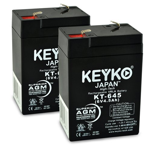 Buy Welch Allyn 300 Series Vital Signs Monitor 6V 4.5Ah SLA Sealed Lead ...