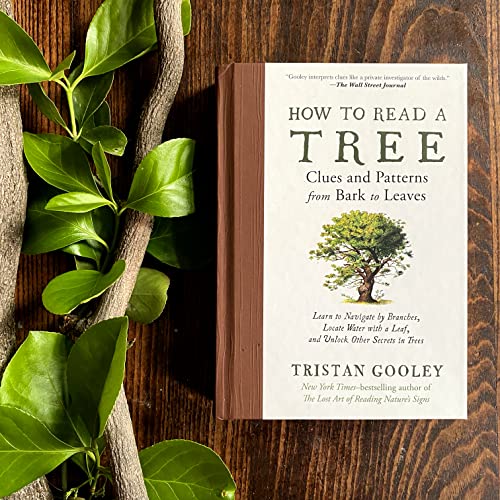 How To Read A Tree: Clues And Patterns From Bark To Leaves (Natural ...