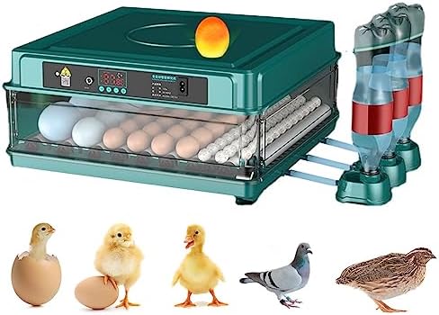 Automatic Egg Incubator 12-38 Egg Digital Poultry Hatcher Machine ith Automatic Egg Turning ...