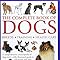 The Complete Book of Dogs: Breeds, Training, Health Care: A ...