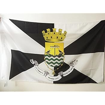 Amazon.com : AZ FLAG Rexist Party 1930-1945 Flag 3' x 5' for a Pole ...