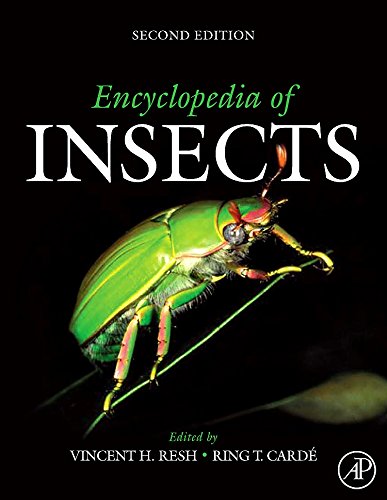Amazon.com: Encyclopedia of Insects: 9780123741448: Resh, Vincent H ...