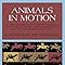 Amazon.com: Animals in Motion (Dover Anatomy for Artists ...